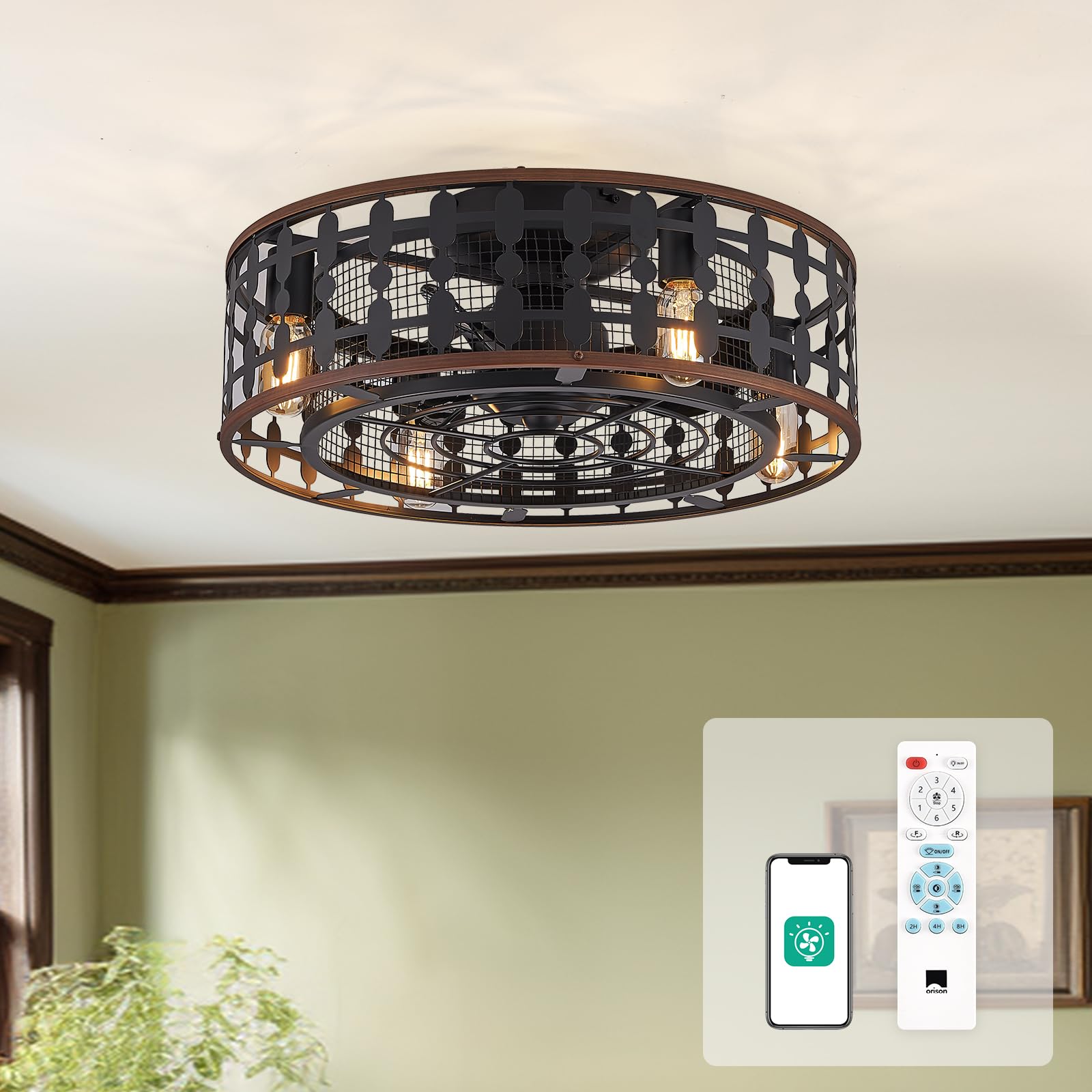 21.5" Orison Caged Ceiling Fan with Light, 2 Ways Control (App&Remote ...